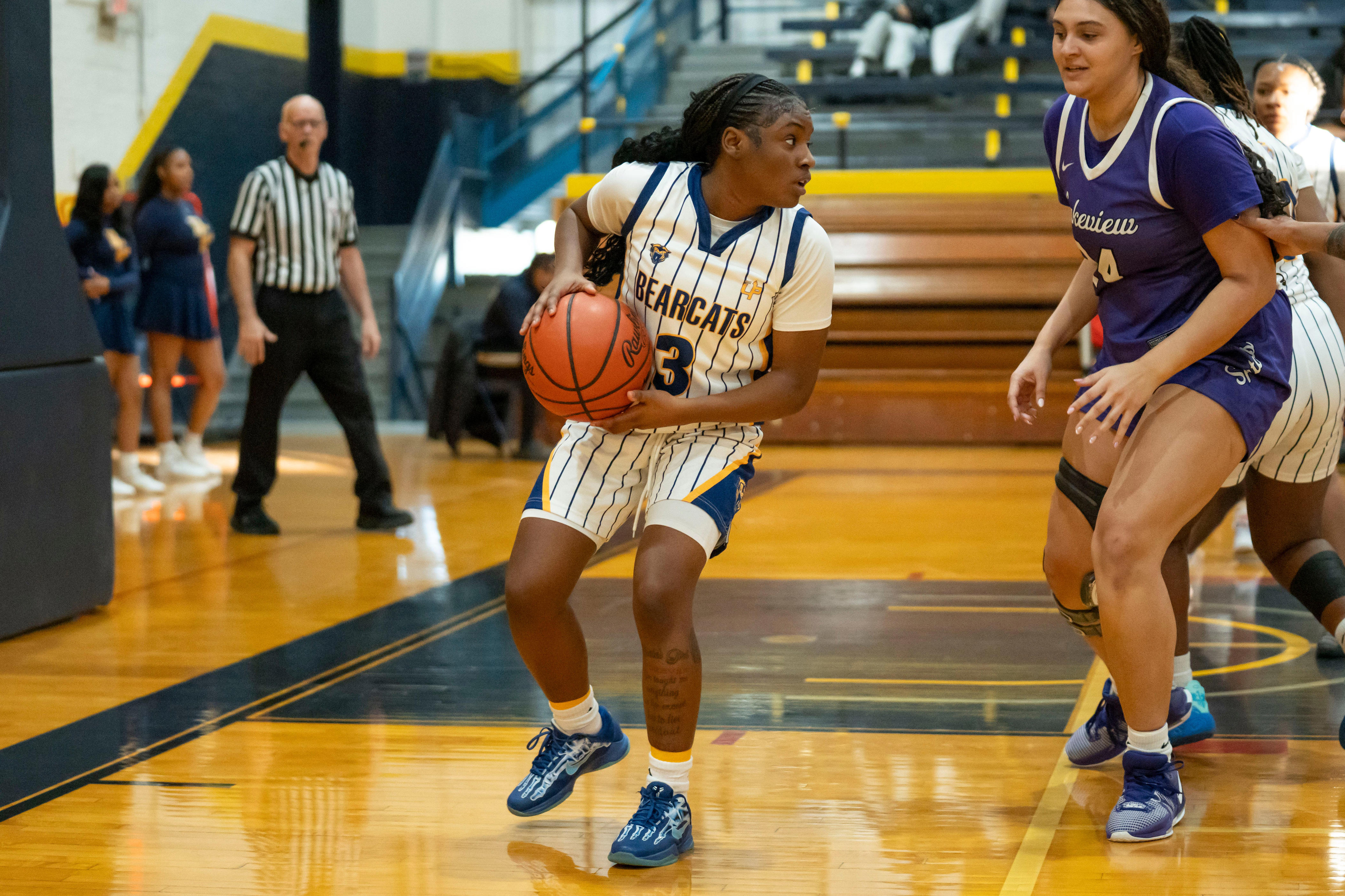 Who is the girls basketball player of the year in Battle Creek area ...