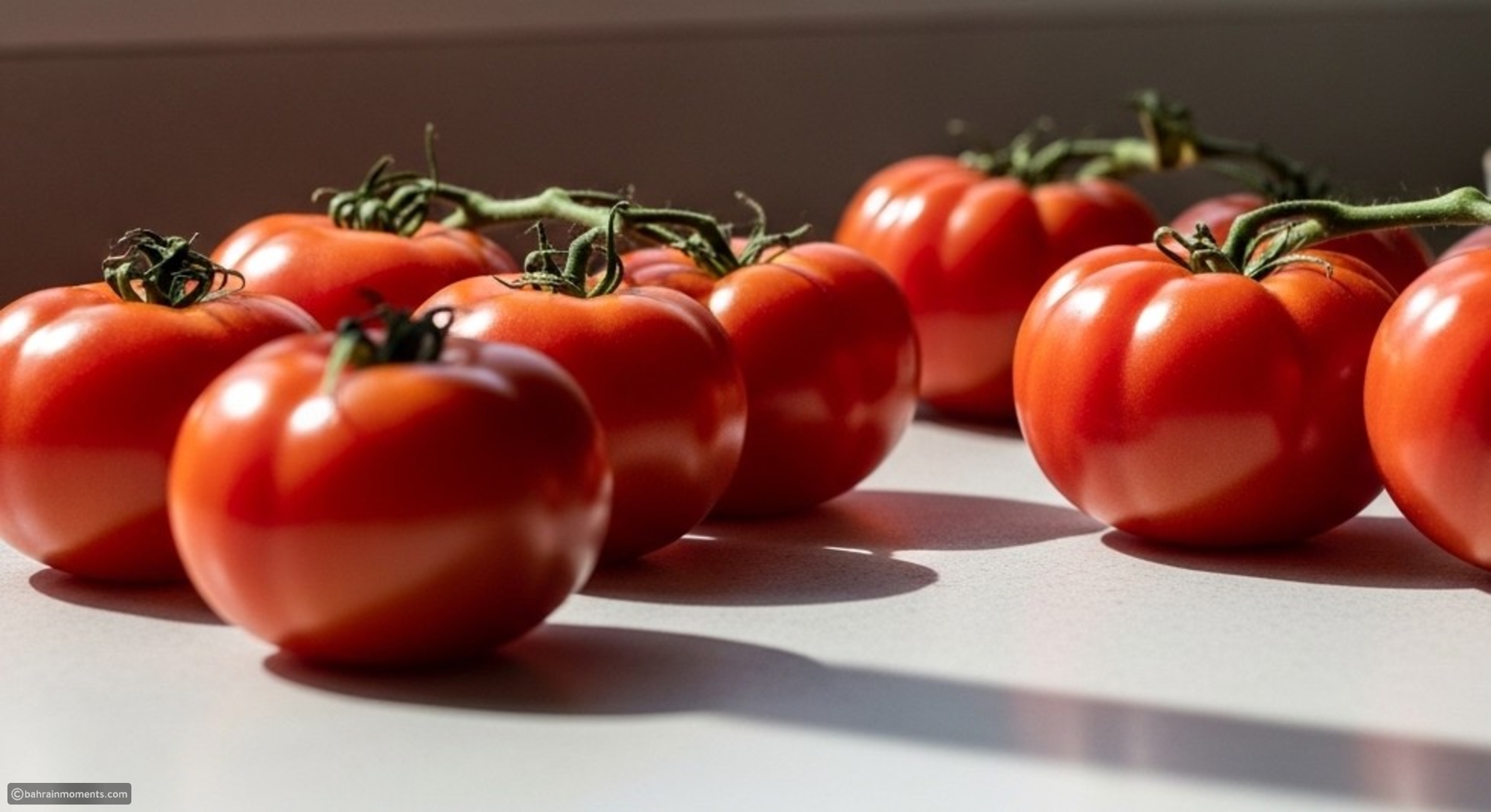 Fresh roasted tomato and jalapeno salsa recipe