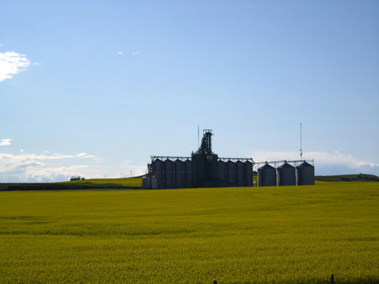 What does Alberta’s economy look like without oil?