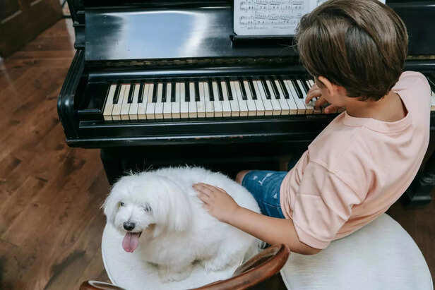 Soothing sounds: How music and sound affect your pet’s relaxation