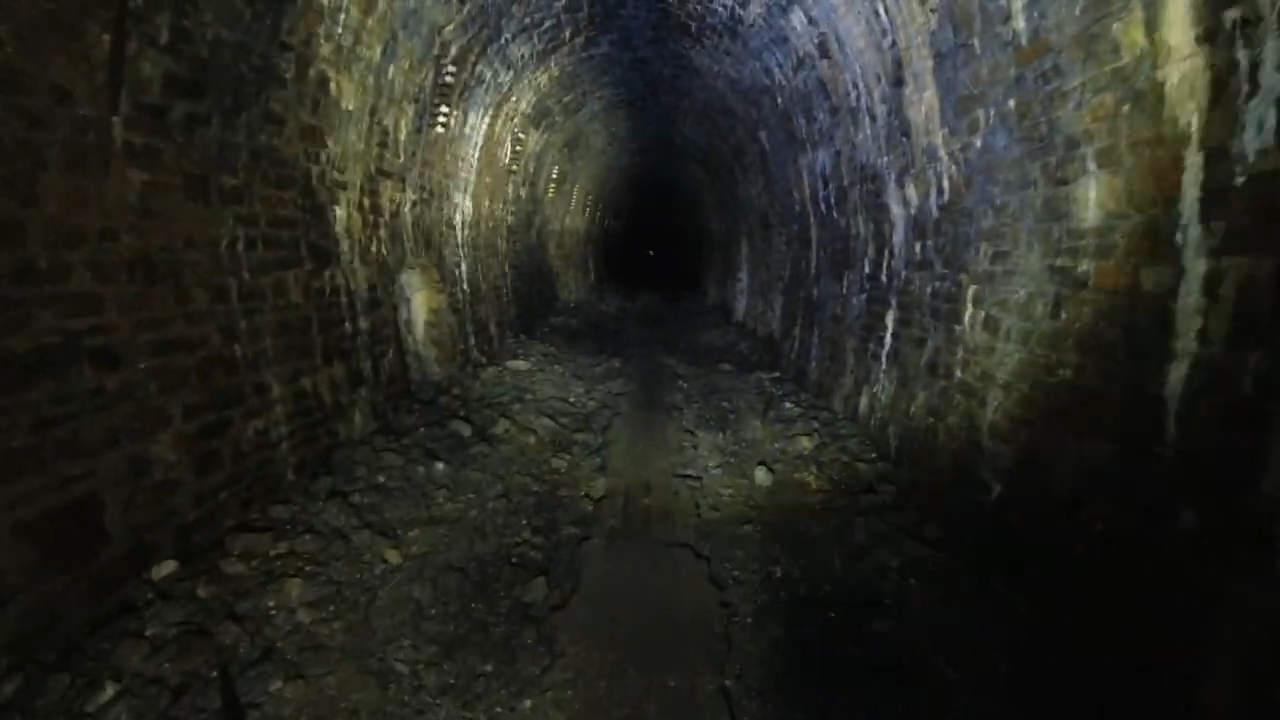 Dieser Wald wirkt harmlos – bis plötzlich ein riesiger Tunnel im Berg ...