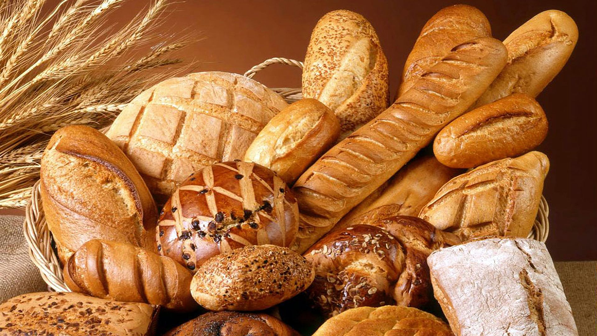 10 reasons why bread is the best carb & 10 foods that taste best paired ...
