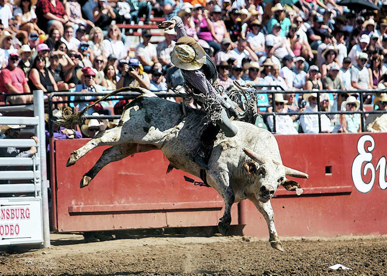 A bull's horn tore his heart at Rodeo Austin. A year later, he's back ...