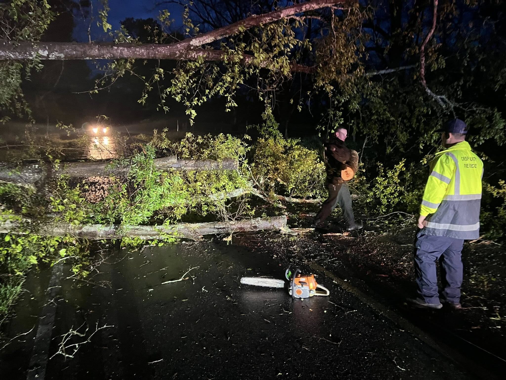Downed trees, standing water, 40+ MPH wind gusts reported across SGA
