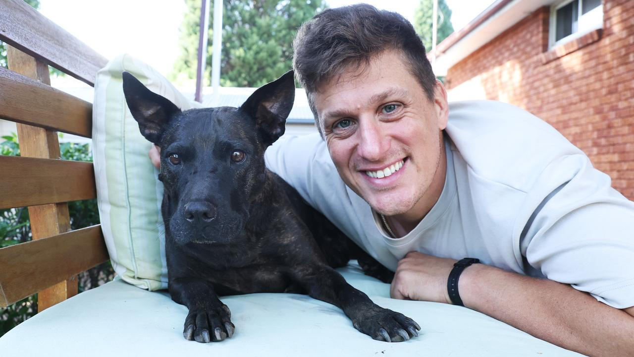 Man uses AI to create cancer vaccine for his dog