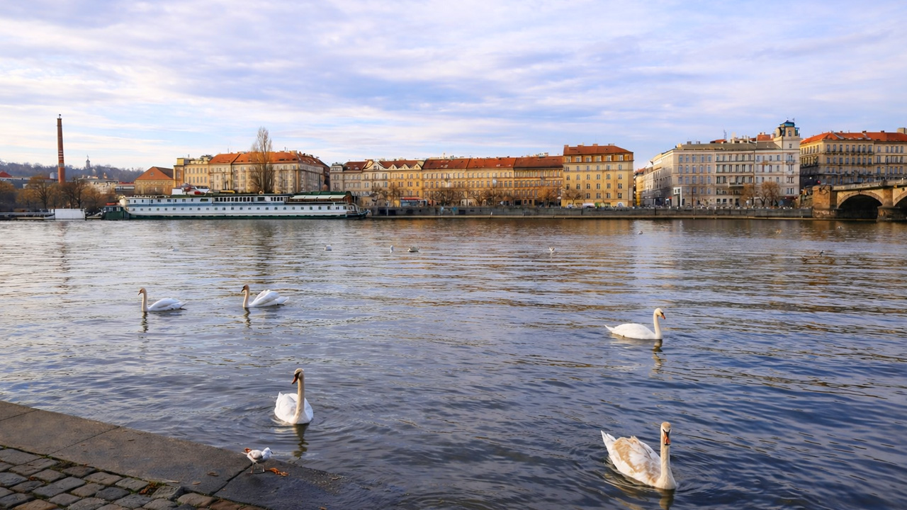 Un momento tranquilo junto al río en Praga
