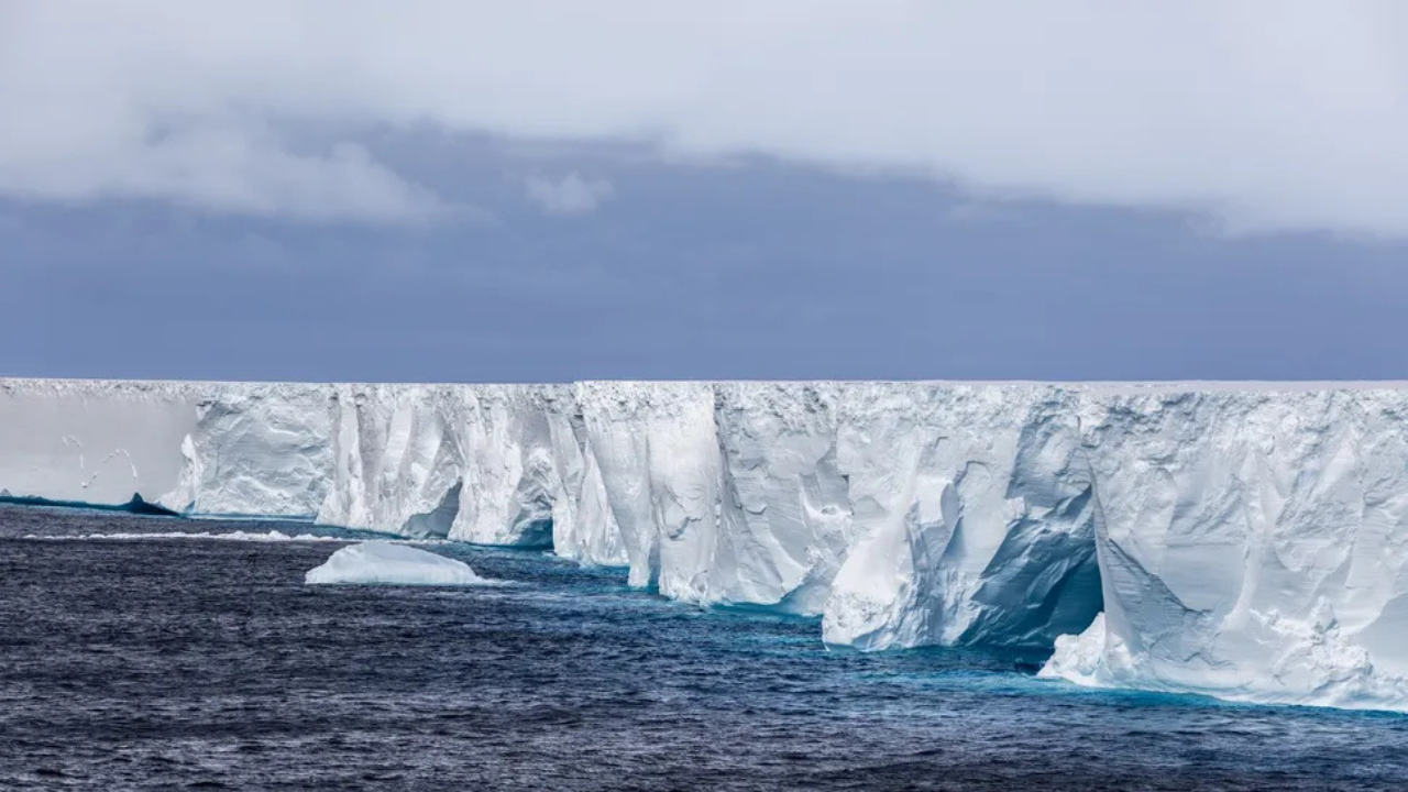 World's former largest iceberg A23a, now has just weeks left