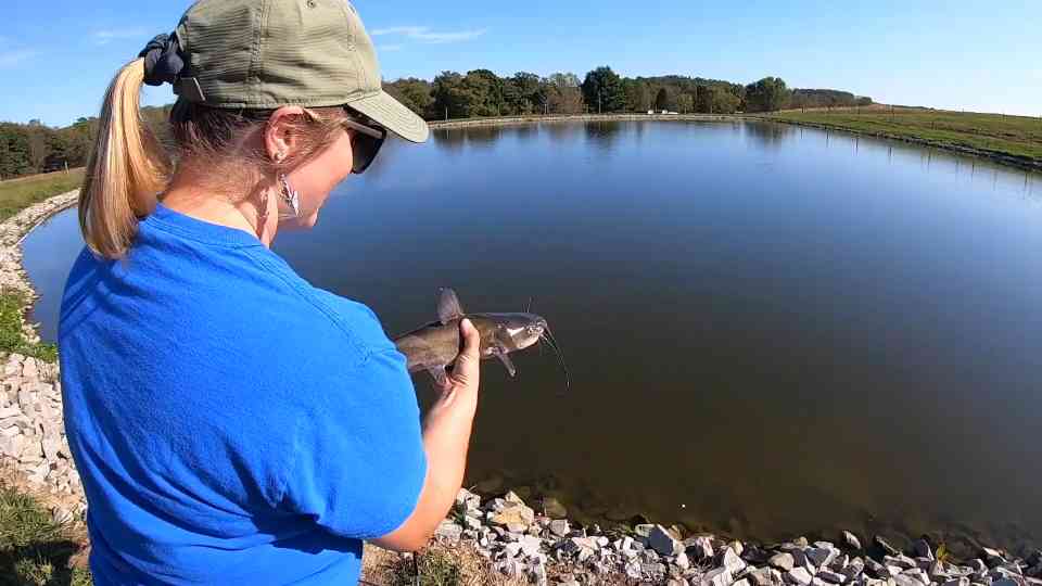Can dollar store fishing gear actually catch real fish?