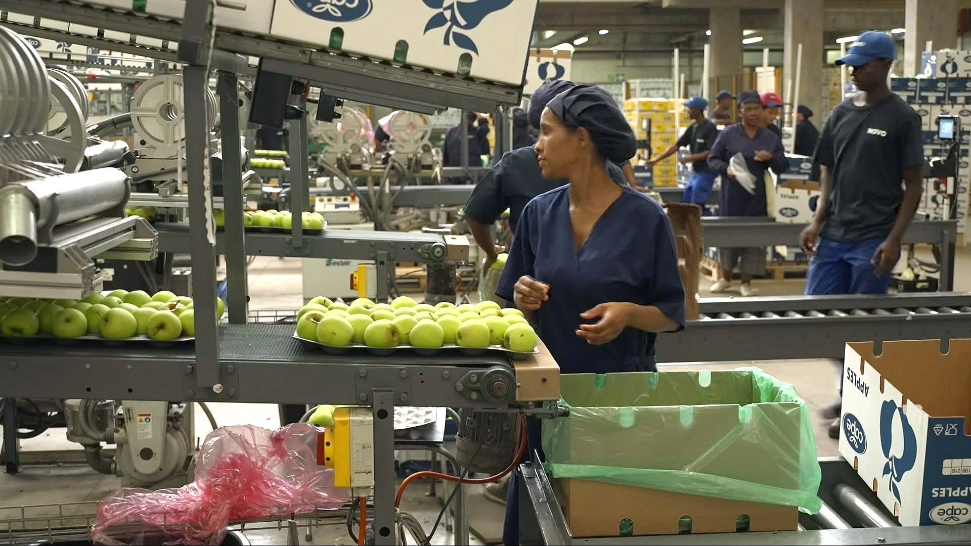 South African fruit exports face delays as Iran war disrupts global ...