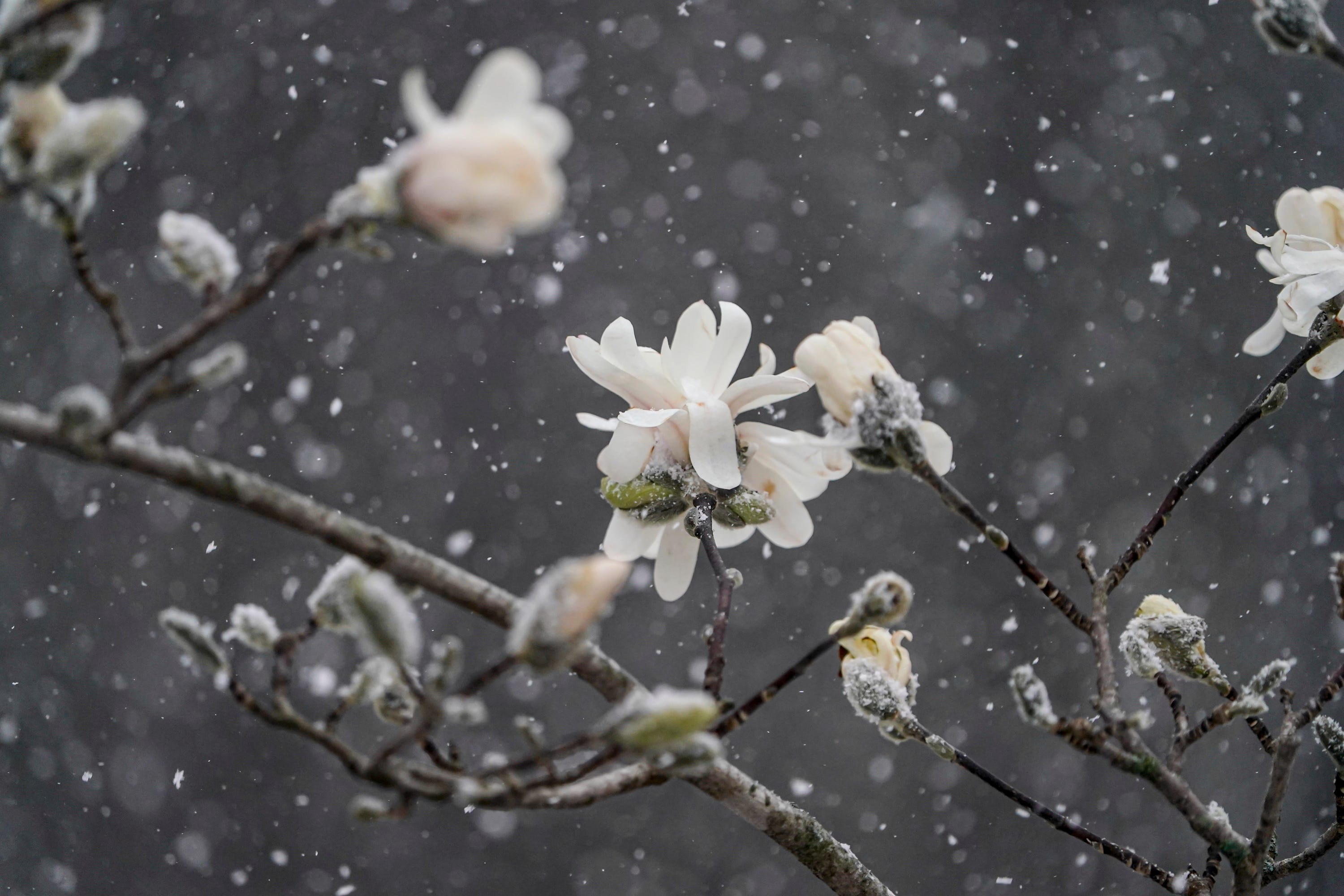 'Erin go brrr.' See Indiana road conditions on snowy St. Patrick's Day