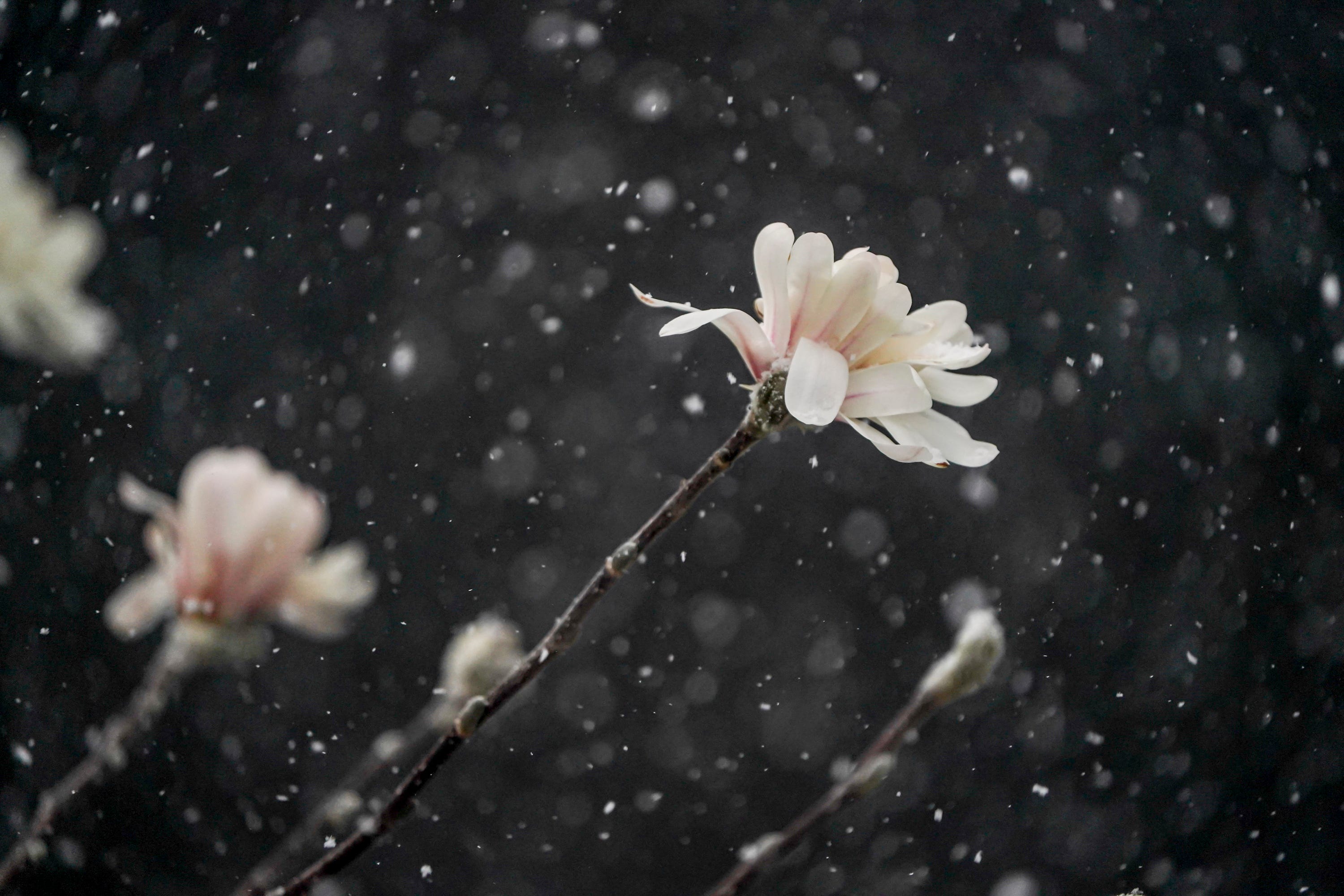 Spring is officially here! What it means for Indiana in 2026