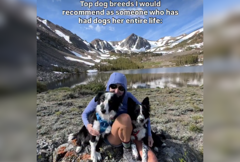 Tears as woman who has owned dogs entire life recommends best breeds