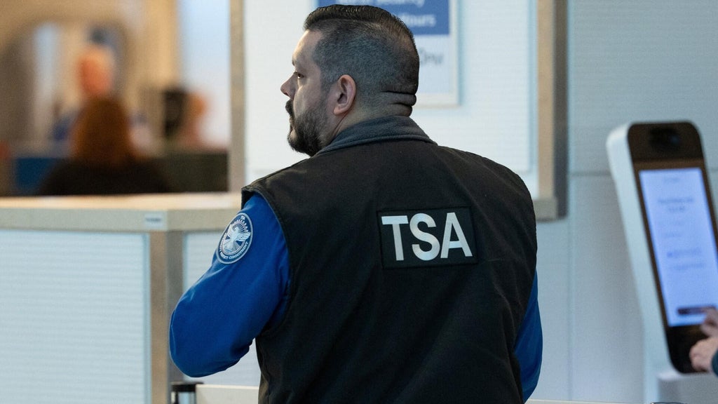 How TSA lines at Boston's Logan Airport are being impacted by partial ...