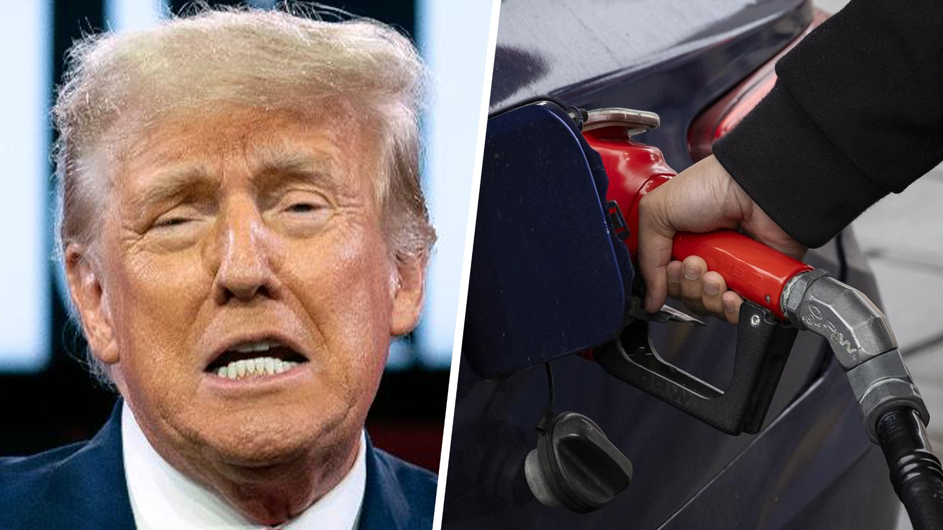 Economist: 'Hard to wrap your head around how backwards Trump admin is ...