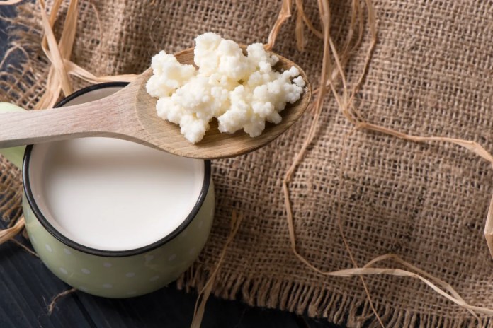 Búlgaros de leche vs yogur: cuál ayuda más a la microbiota
