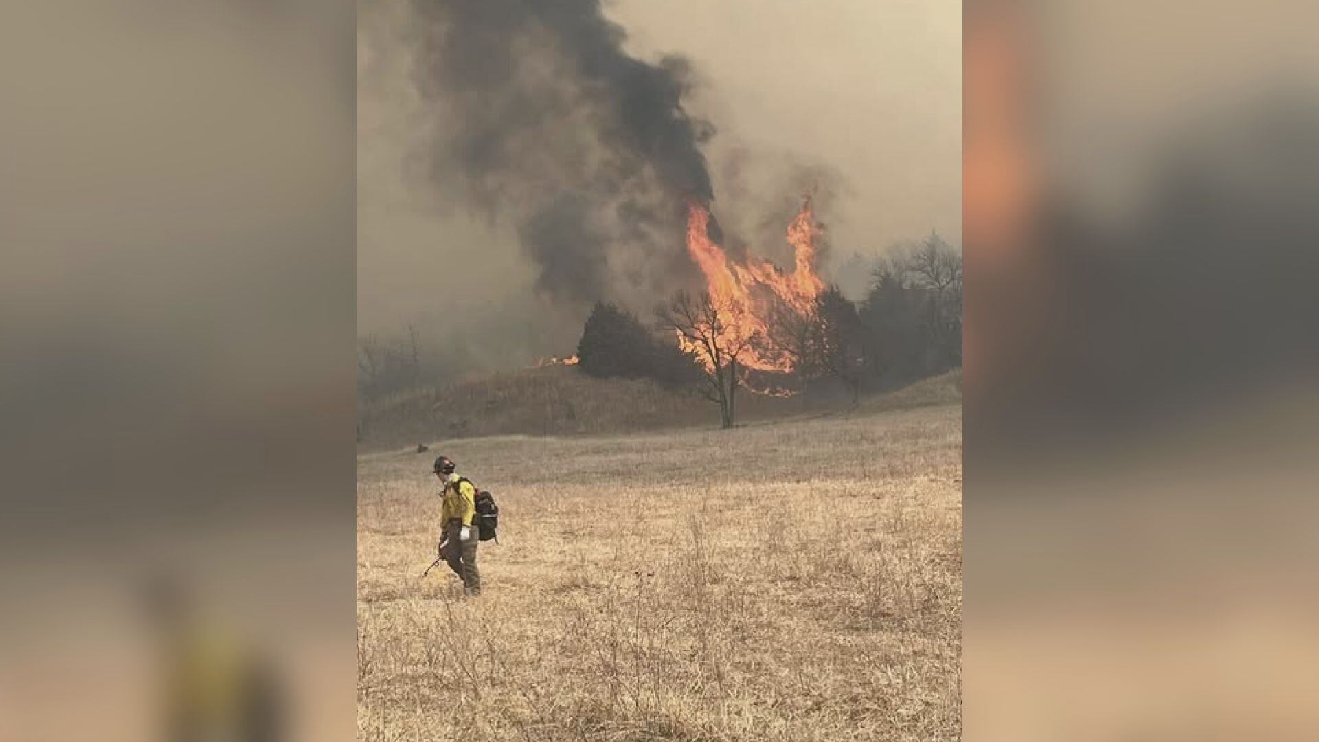 USDA offers disaster assistance to Nebraska farmers, livestock ...