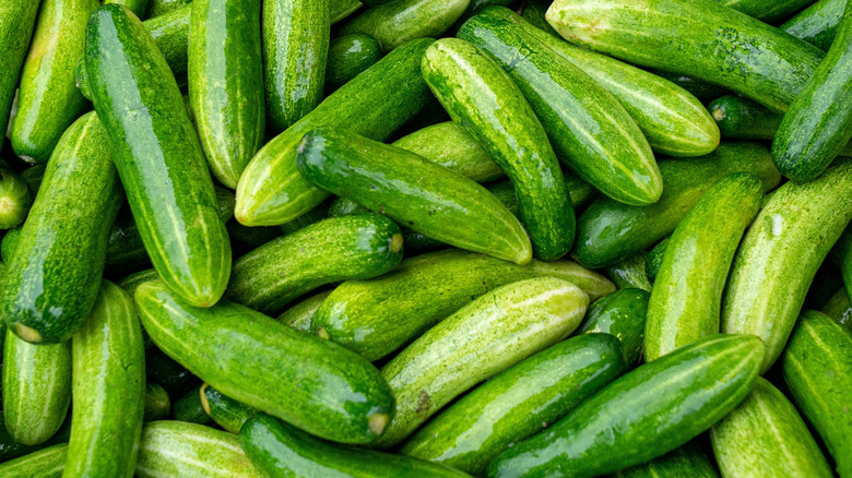 12 cucumber mistakes you don't want to make