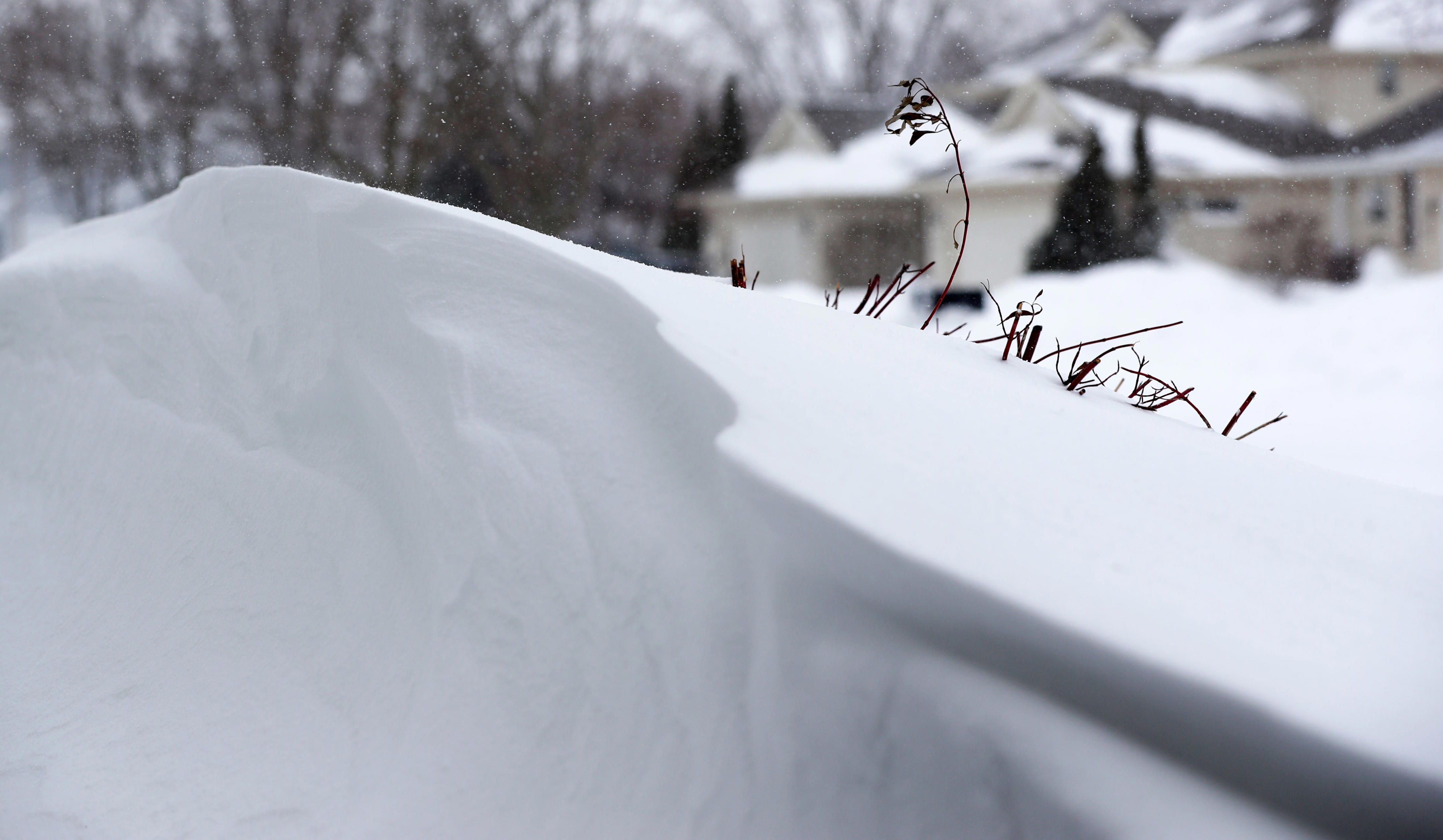 Which Green Bay area schools will be closed March 17? What to know
