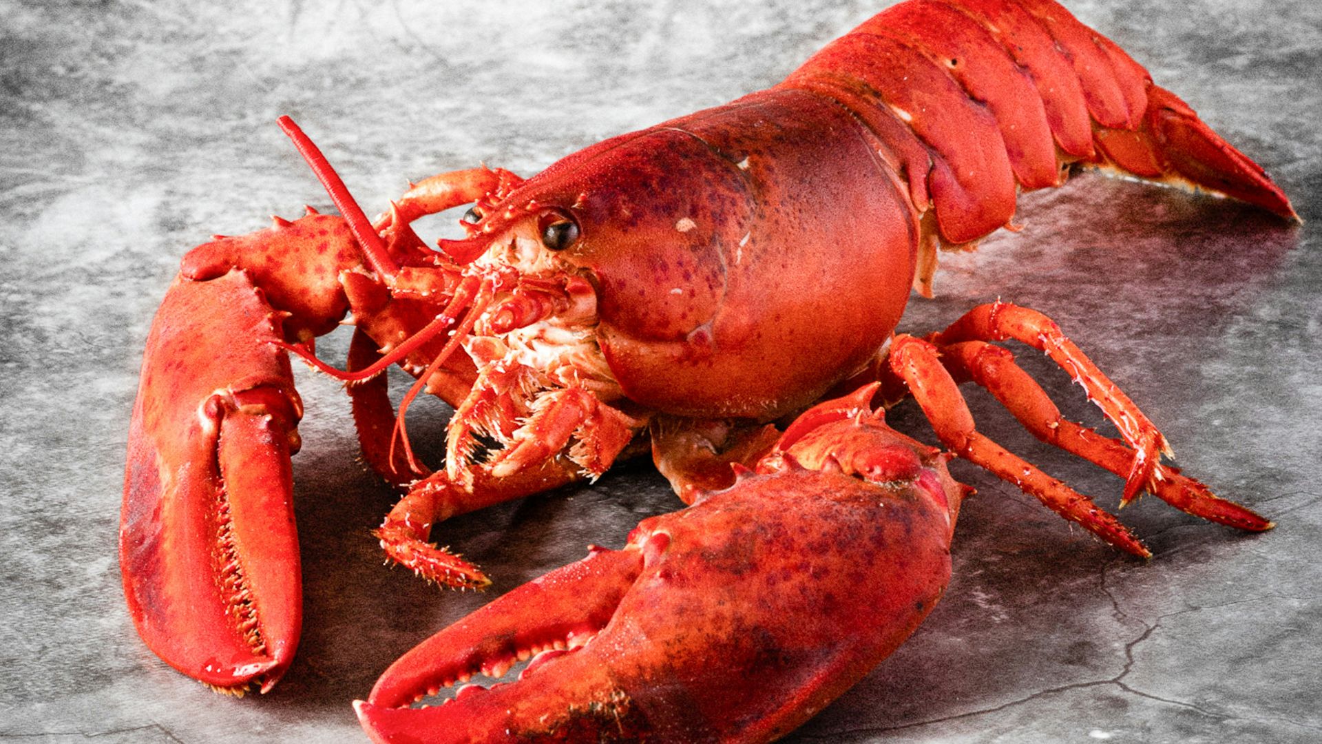 20 'poor people foods' that became luxury items