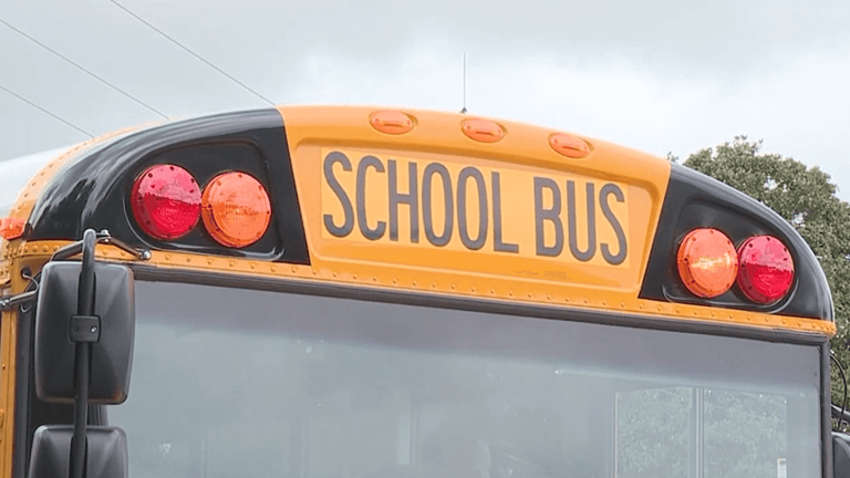 Former school bus driver, baseball coach allegedly tried to meet up ...