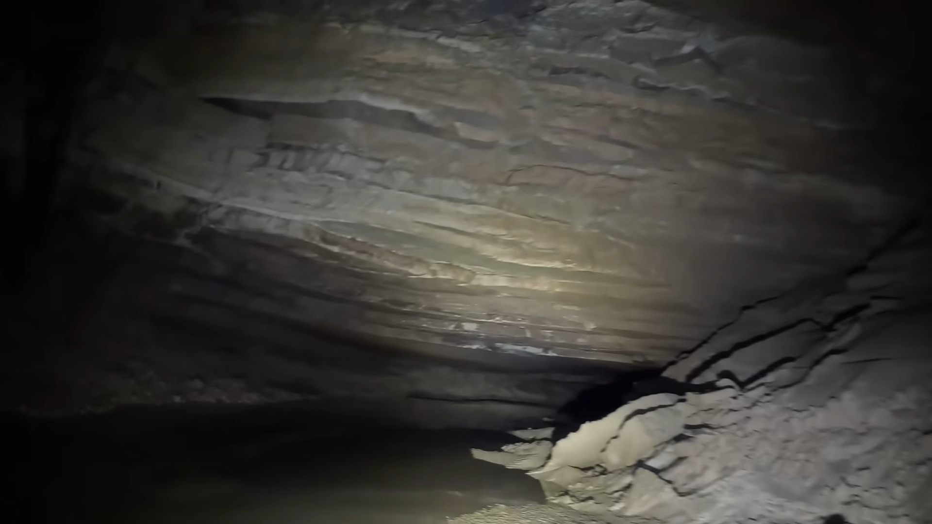 This river cave is so big it doesn’t look real