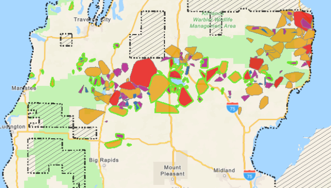 Michigan hit with power outages as winter storm continues