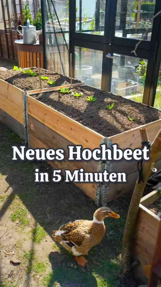 Günstiges Hochbeet in nur 5 Minuten selbst bauen
