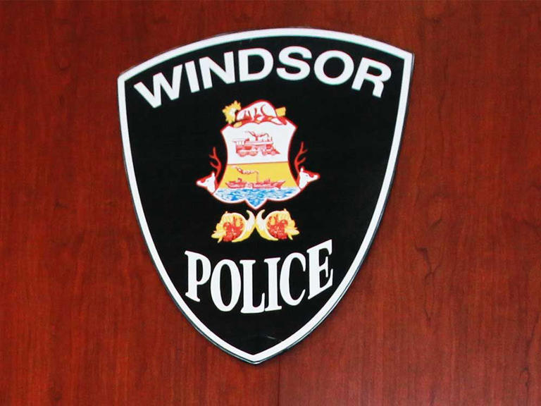 Windsor police arrest stabbing suspect; stop another attempted stabbing