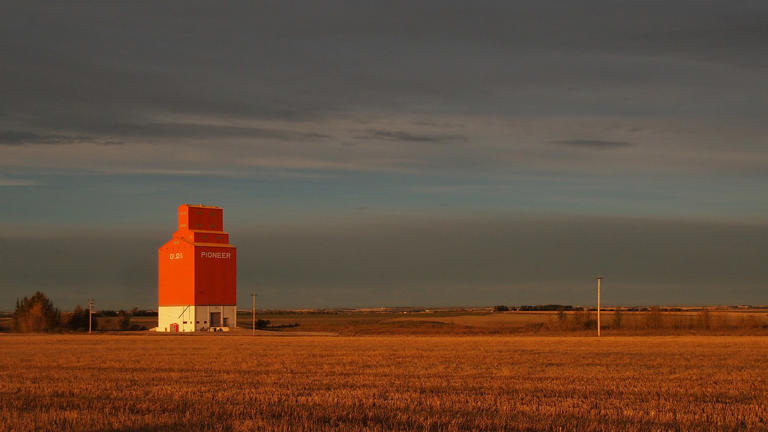 What does Alberta’s economy look like without oil?