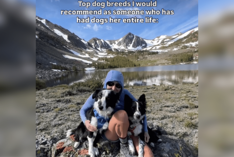 Tears as woman who has owned dogs entire life recommends best breeds