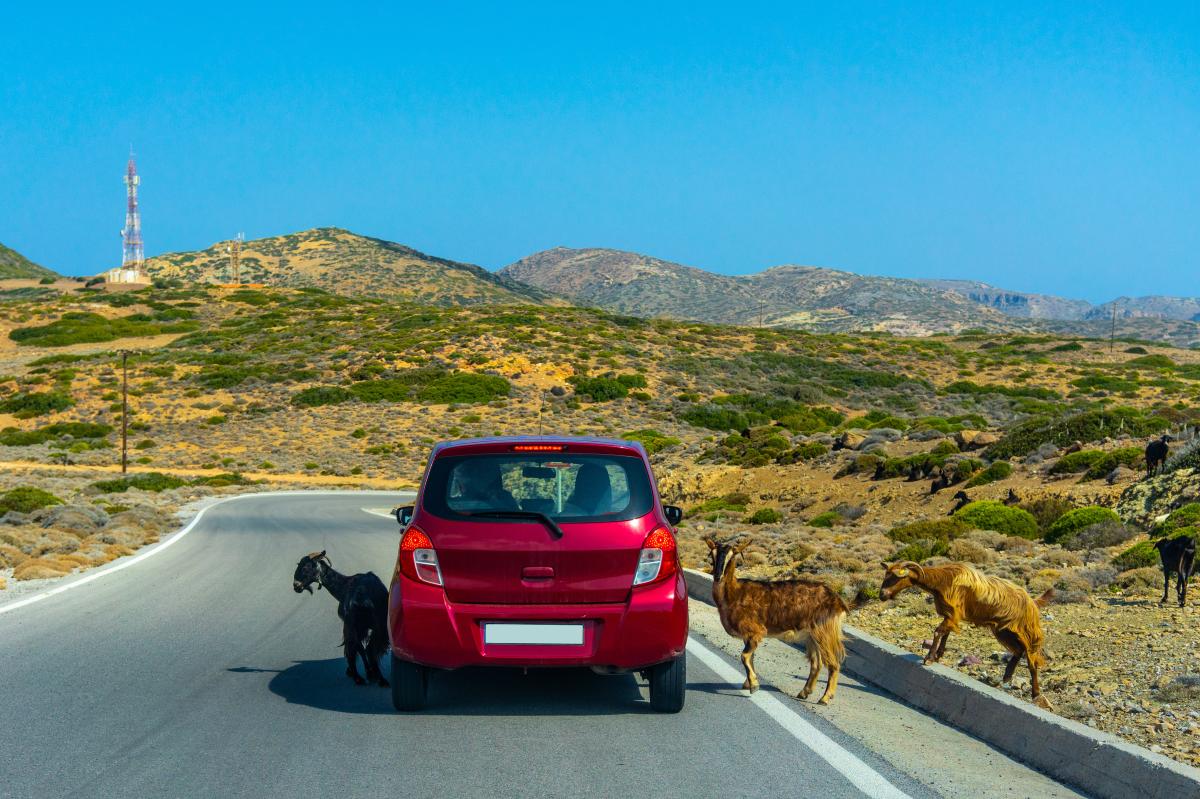 Verkehrsmittel auf Kreta: Wie kommt man auf der Insel am besten von A ...