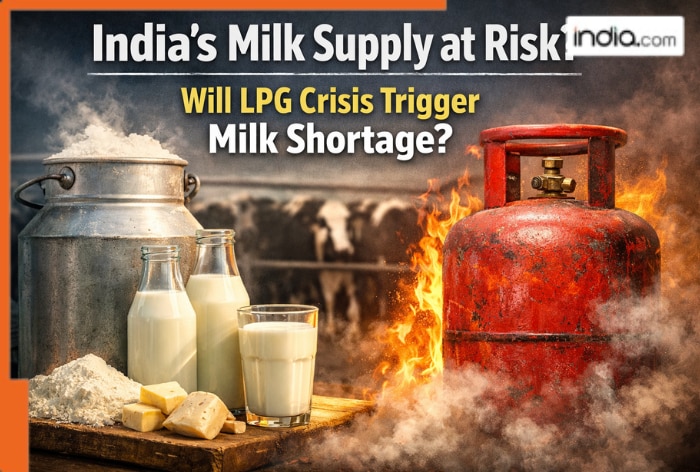 India's milk supply at risk? Will LPG crisis trigger milk shortage in ...