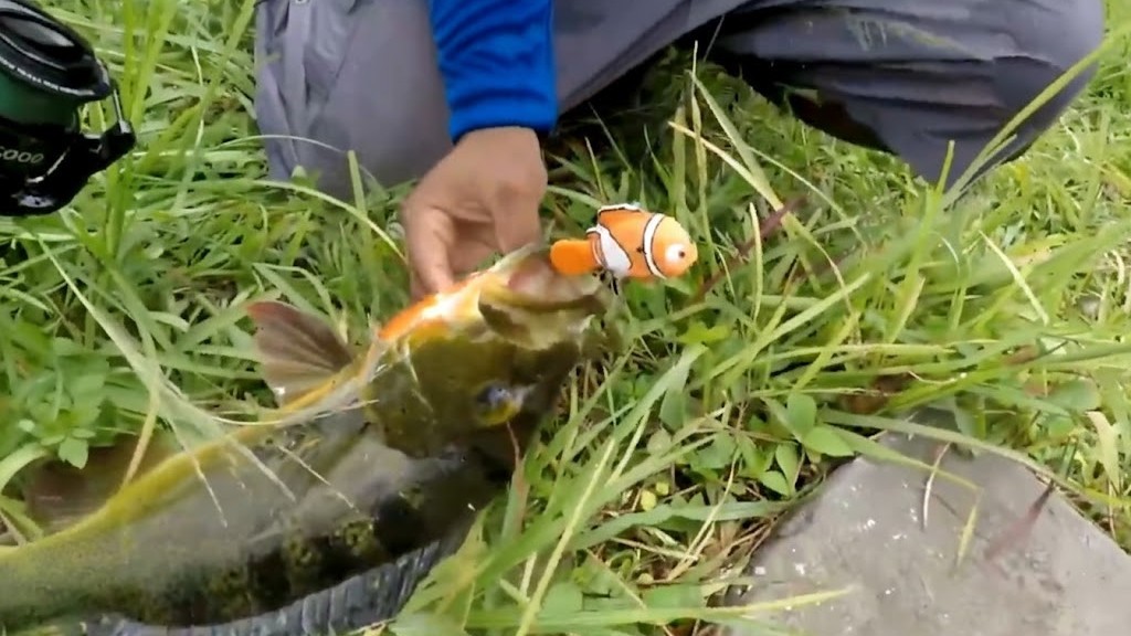 This swimming toy became the most cursed fishing lure ever
