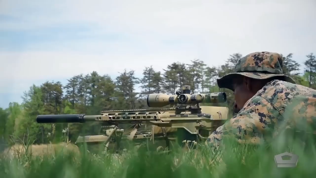 Why every US military branch has its own snipers – roles, missions, and ...