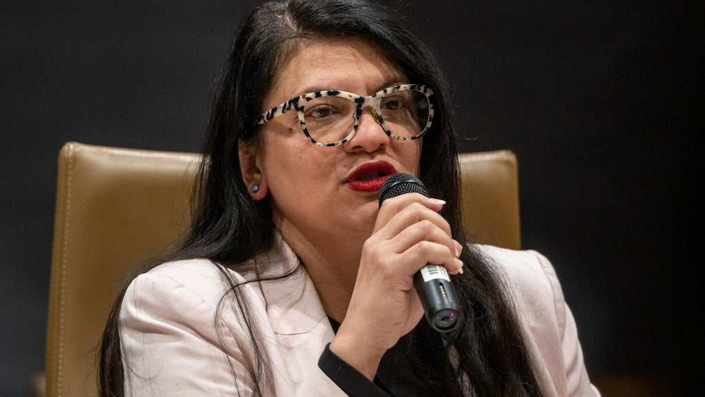 Rashida Tlaib seeking re-election to Michigan's 12th Congressional District