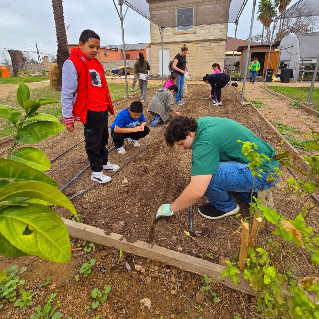 From kitchen scraps to garden beds: LCUAS hosting raised bed workshop