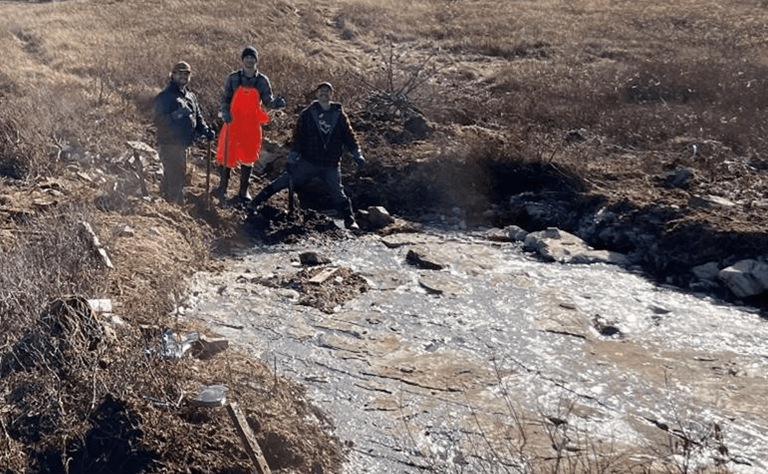 The forgotten apocalypse: Scientists think Earth's first mass ...