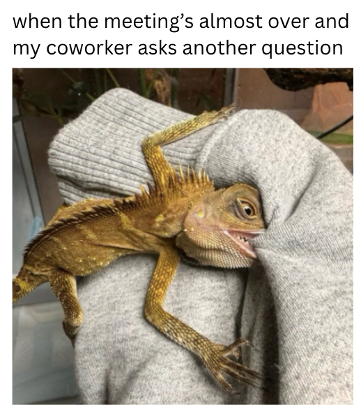 25 grumpy lizards perfectly capturing the Monday mood
