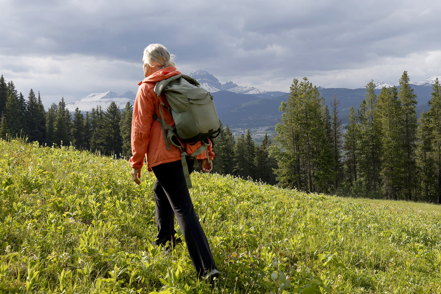 Over 65 with slightly high blood pressure? You might not need meds yet