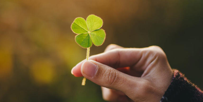 Why is a four-leaf clover lucky? Here's the fascinating folklore