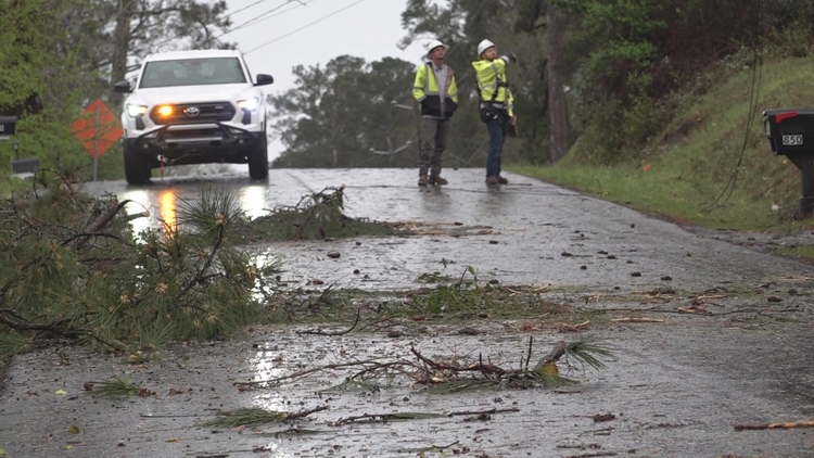 In a blink of an eye | Severe storms knock down trees, power lines ...