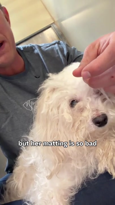She kept holding her paw up.. then we saw why!