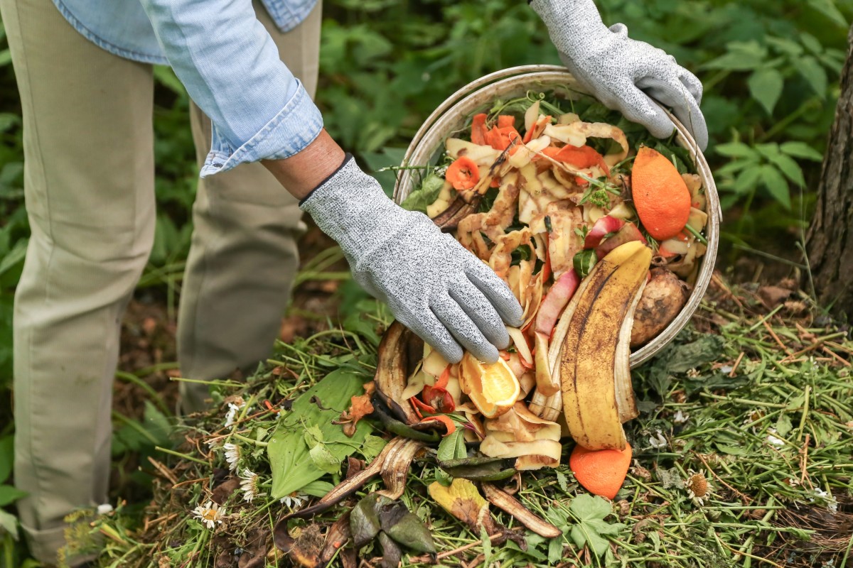 The simple trench composting method that enriches garden soil