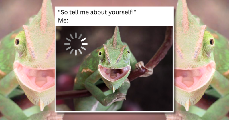 25 grumpy lizards perfectly capturing the Monday mood