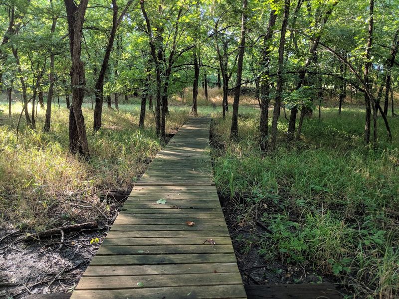 This Oklahoma nature preserve has magical boardwalk trails through the ...