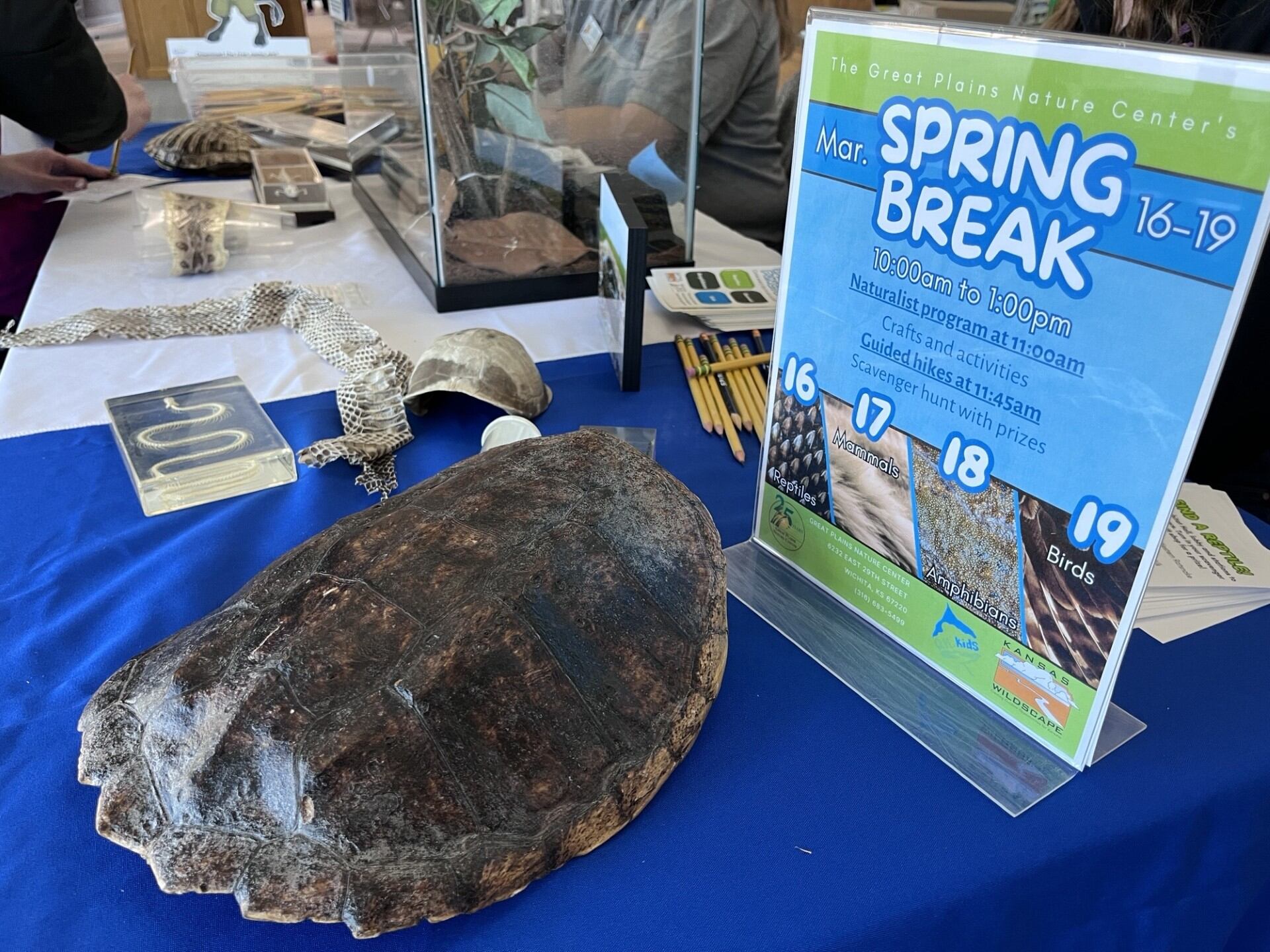 Great Plains Nature Center hosts free, educational spring break activities