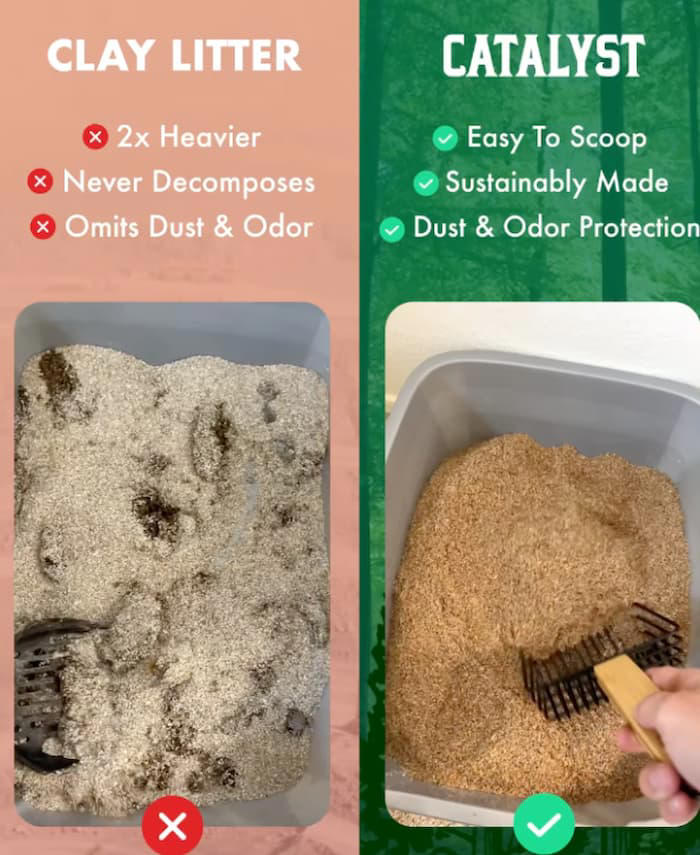 Catalyst Pet natural cat litter review: A veterinarian’s honest take