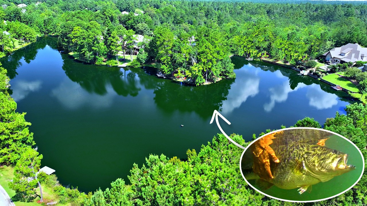 Building a pond: my journey to a 10lb bass!