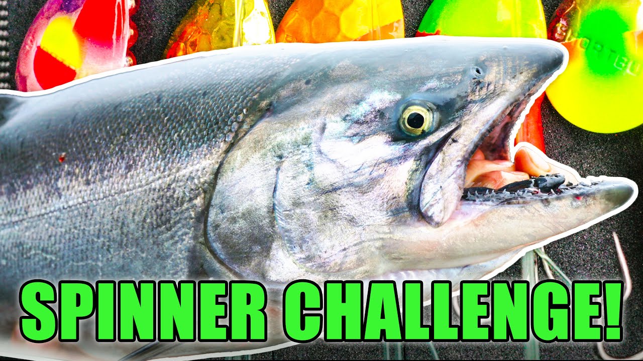 6 fish on 6 different lures? $500 Shortbus Spinner challenge on the ...