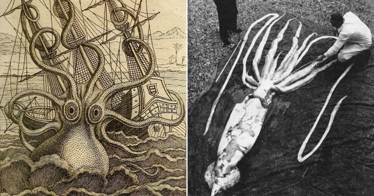 Animals mistaken for mythical creatures